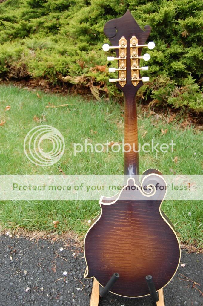 2012 Gerald Anderson F5 Mandolin - The Acoustic Guitar Forum