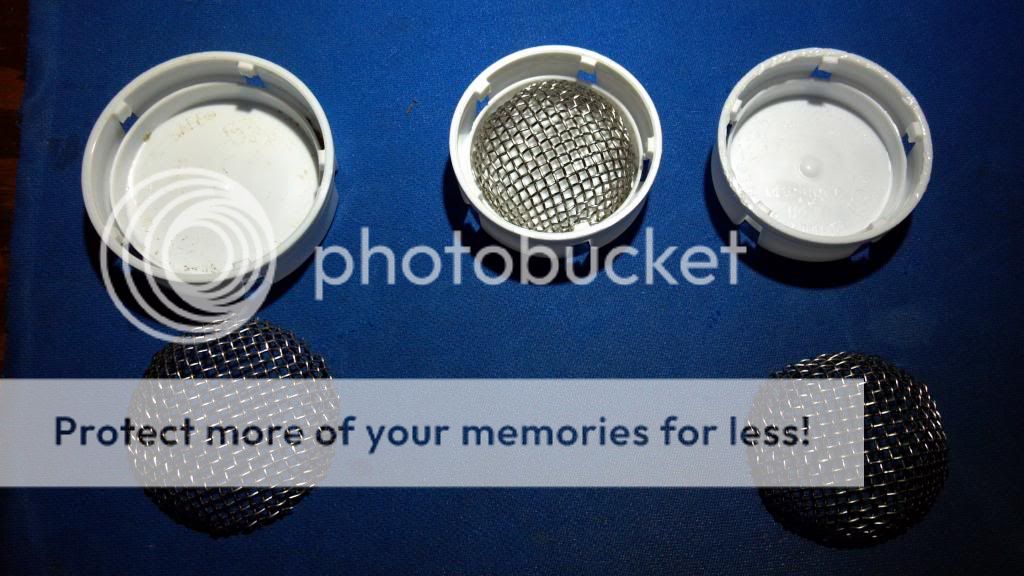 DIY: Snail Collector - (Assassin snail used for example) | The Planted ...